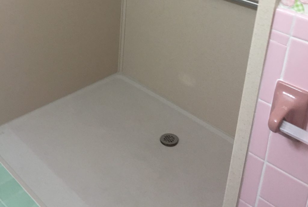 Tub-to-Shower Conversion, Walk-In Tub, Shower | BathWise